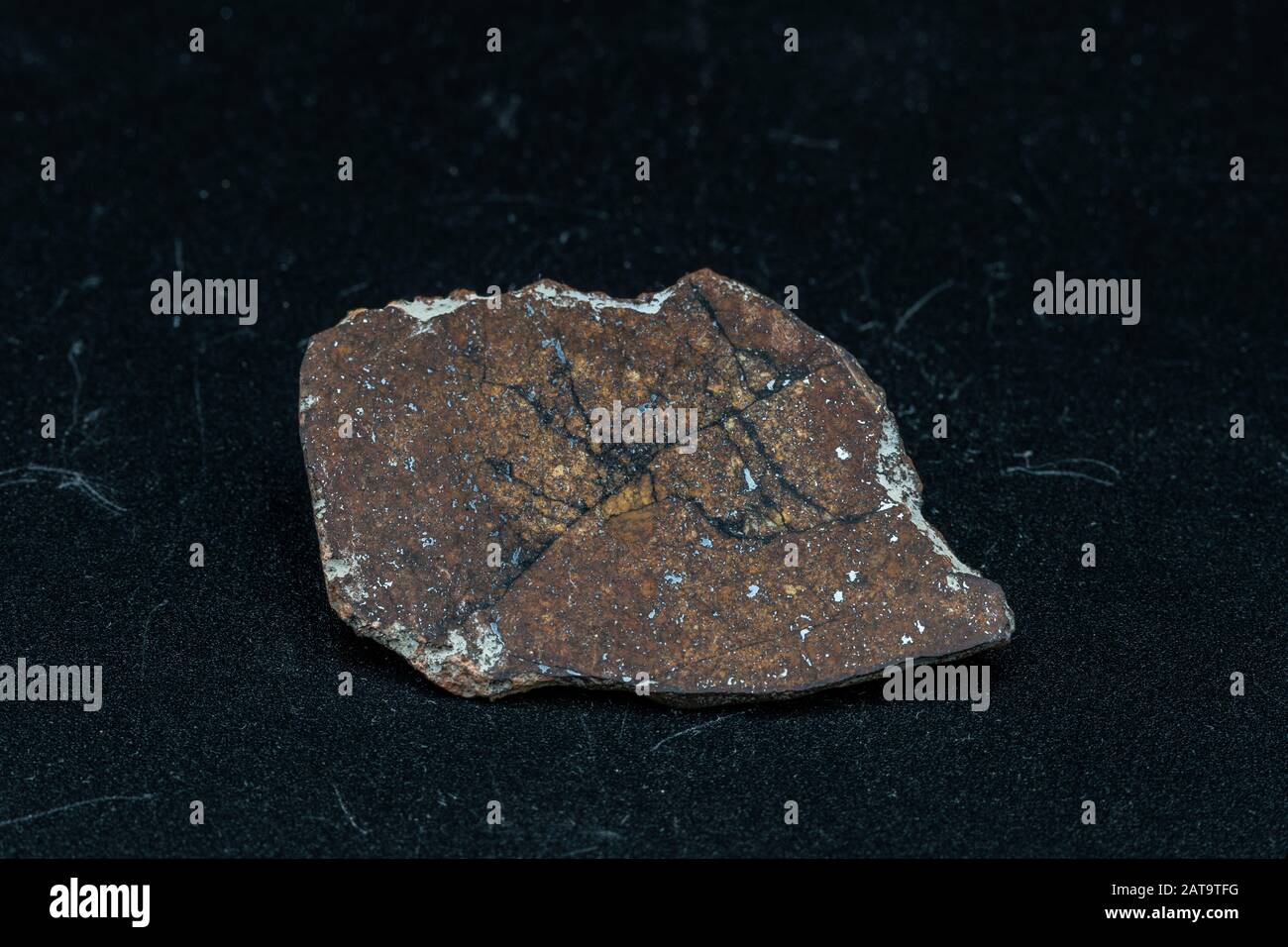 Inside slice of Chondrite Meteorite L Type isolated, piece of rock ...