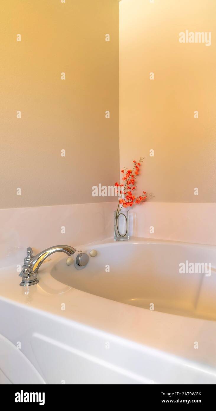 Vertical Built in bathtub with stainless steel faucet and glossy ...