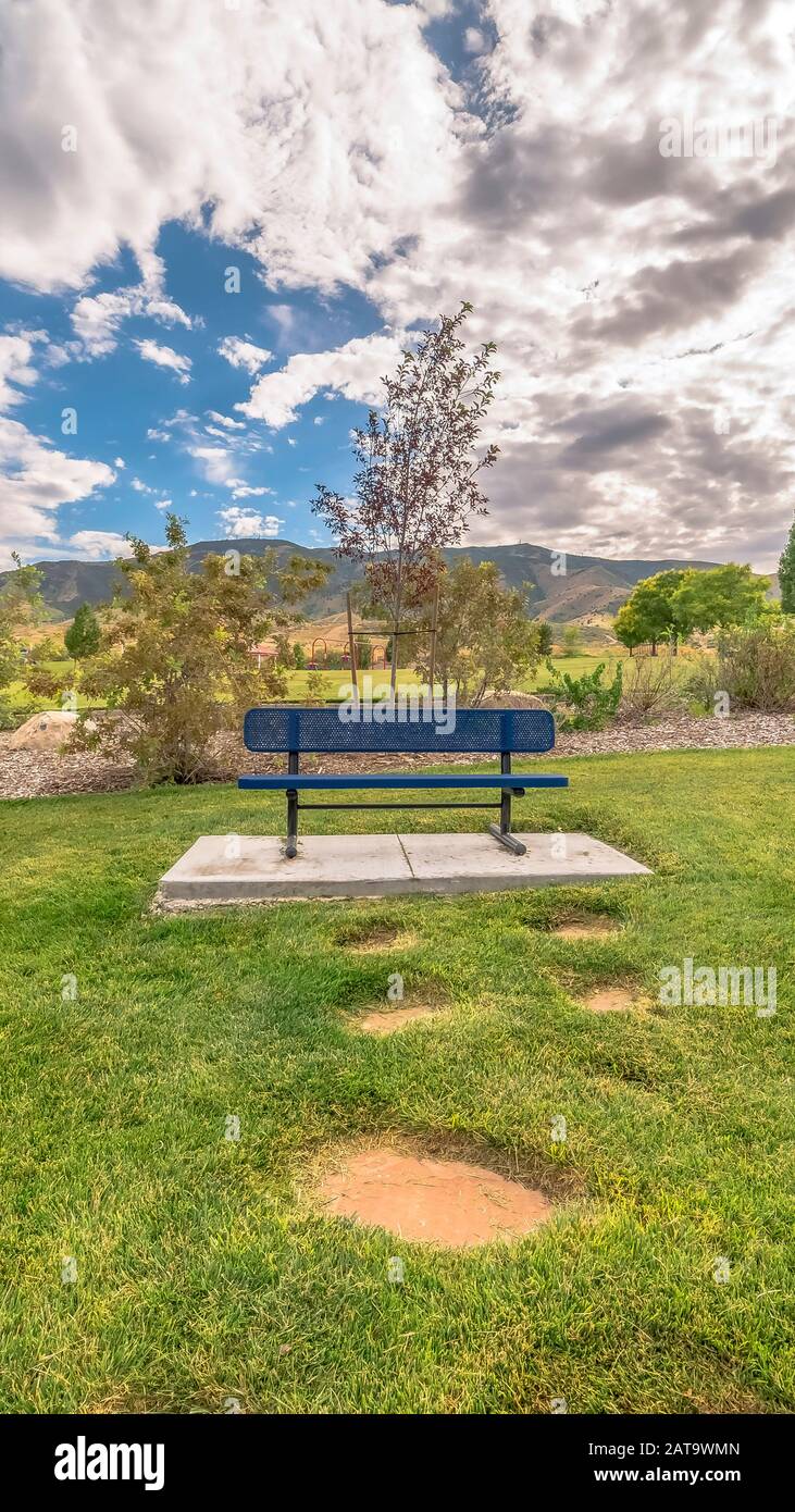 Vertical frame Blue metal bench on vast grassy field with scenic ...