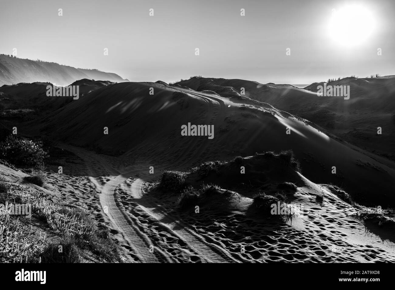 Beach colors in sand Black and White Stock Photos & Images - Alamy