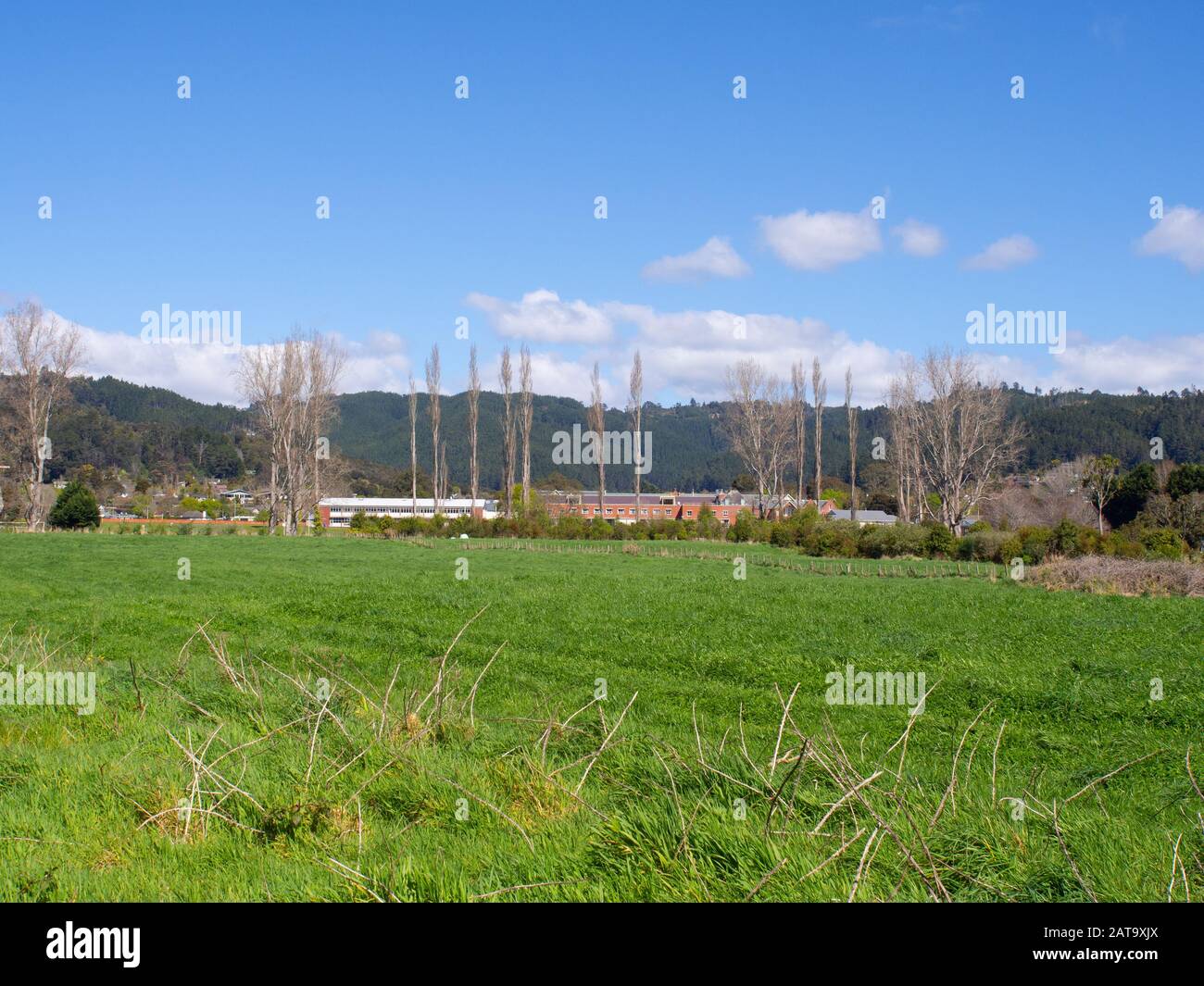 Silverstream scenic reserve hi-res stock photography and images - Alamy