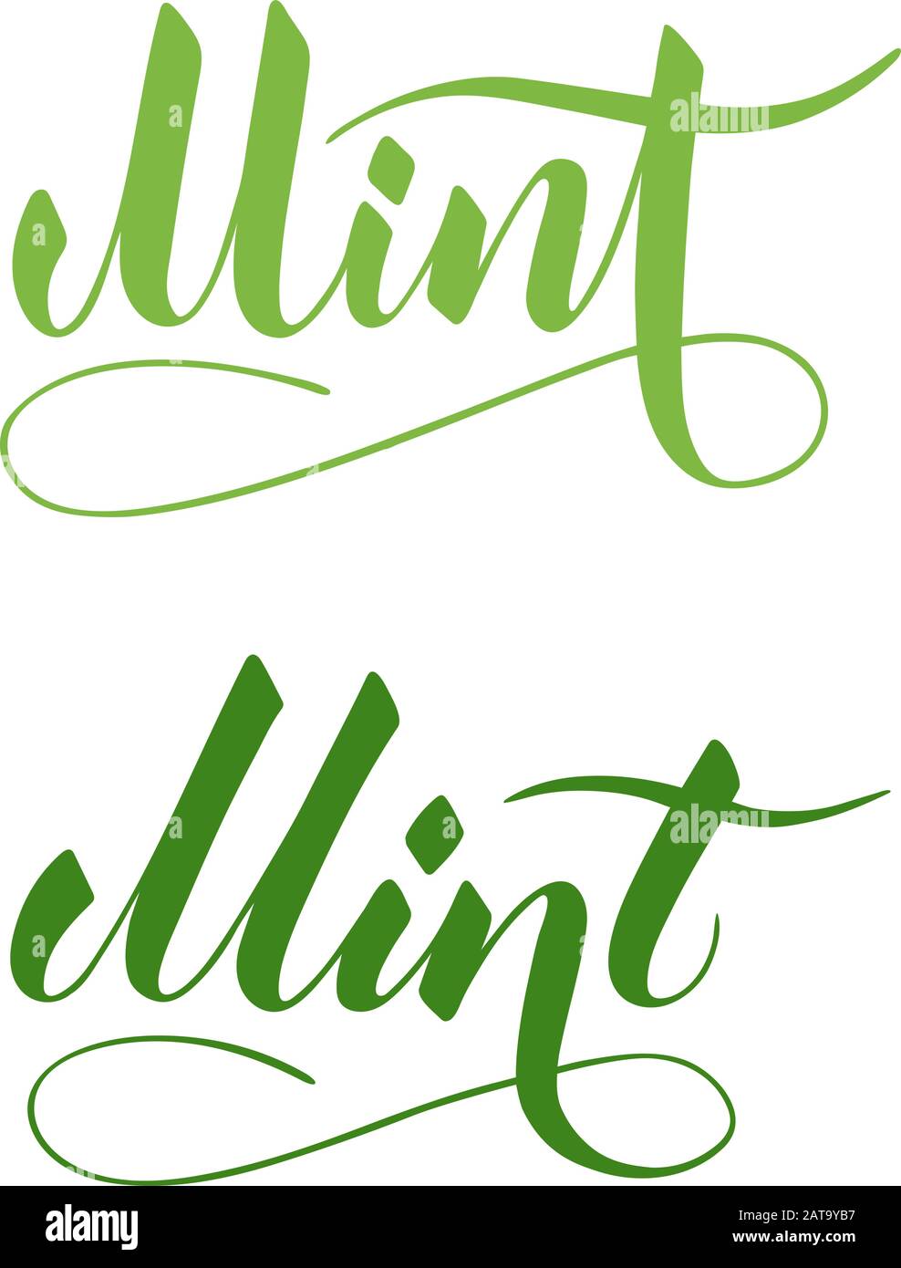 Vector hand written mint text isolated on white background. Kitchen ...