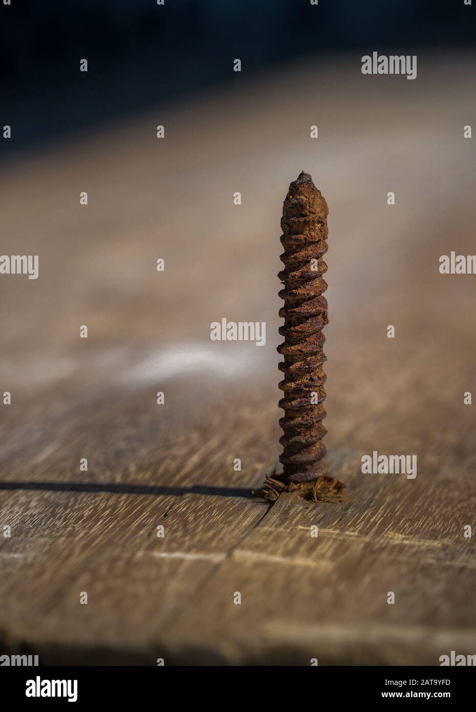 Rusty screw protruding through planks Stock Photo - Alamy