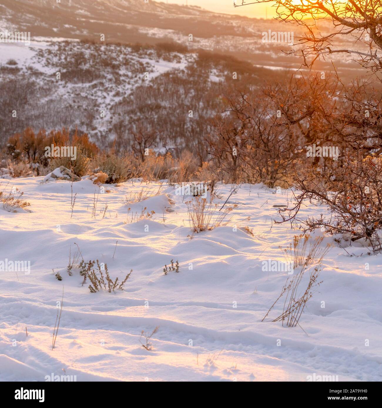 Photo Square frame Ground with thick layer of fresh white snow ...