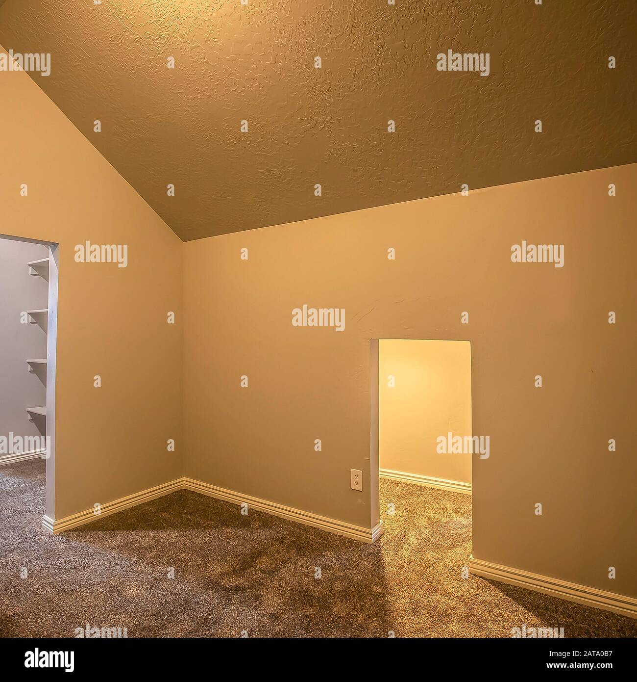 Square Empty room with carpet floor and view of closet through doorway ...