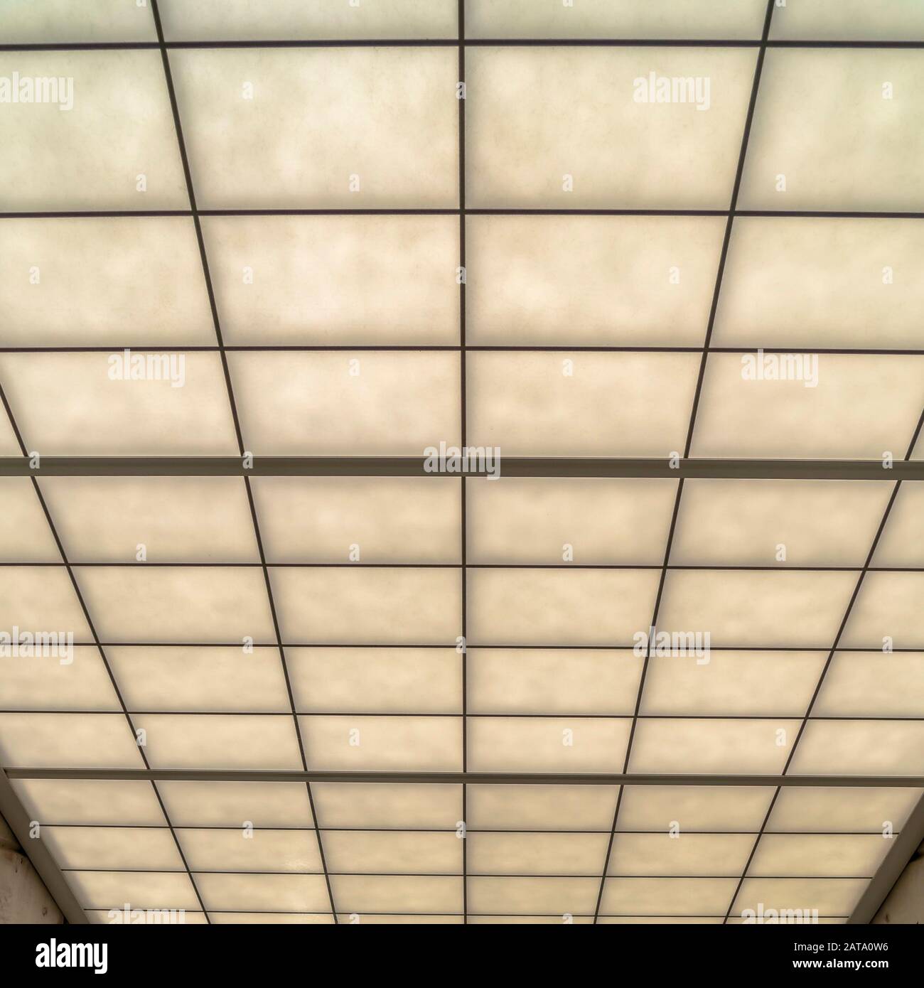 Square Slanted frosted glass roof over glass wall with view of trees ...