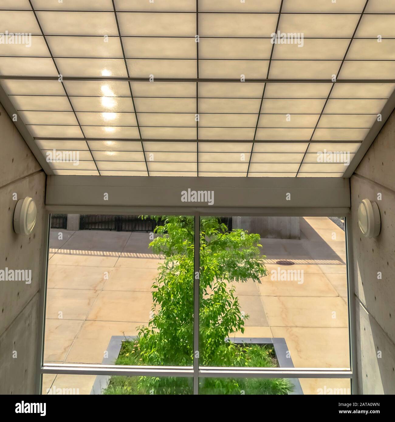 Square frame Slanted frosted glass roof over glass wall with view of ...