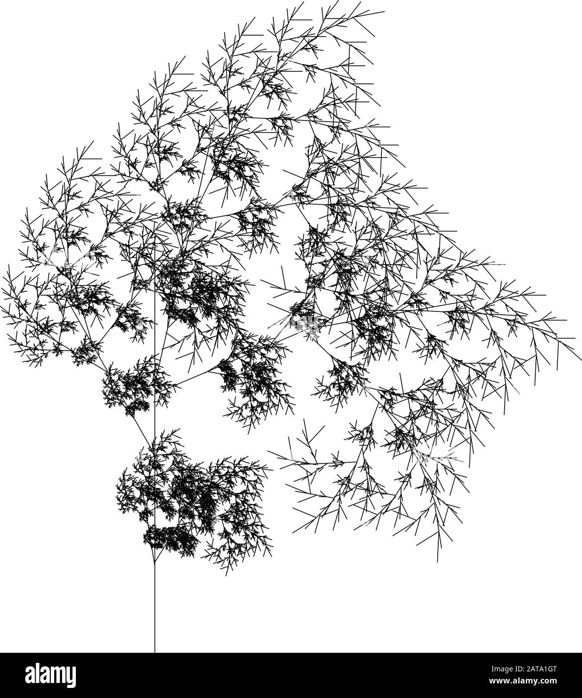 Flat Vector Computer Generated L-system Fractal Plant - Generative Art Stock Vector Image & Art ...