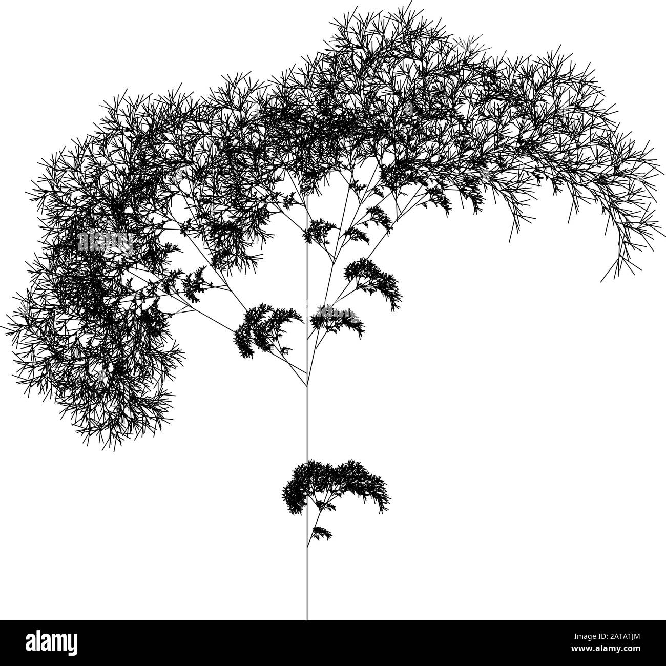 Flat Vector Computer Generated L System Fractal Plant Generative Art Stock Vector Image And Art