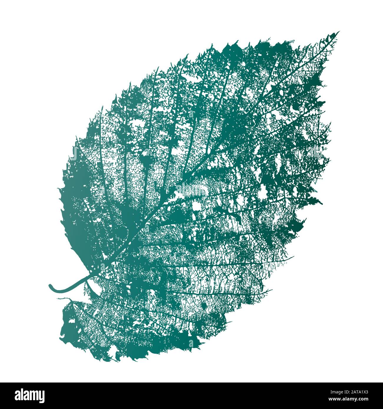 Leafage vector vectors Cut Out Stock Images & Pictures - Alamy