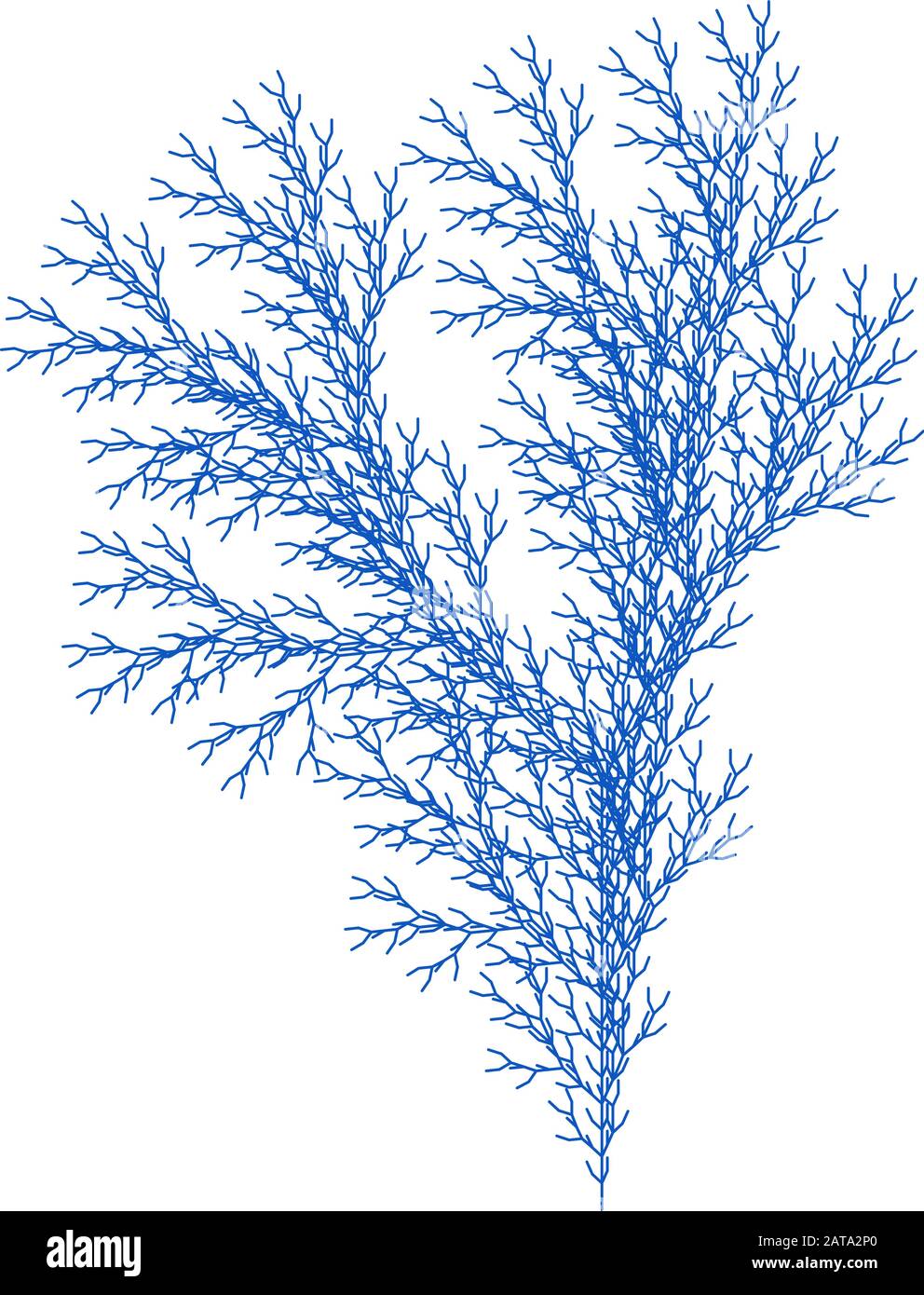 Flat Vector Computer Generated L-system Branching Fractal - Isolated Seaweed - Generative Art ...