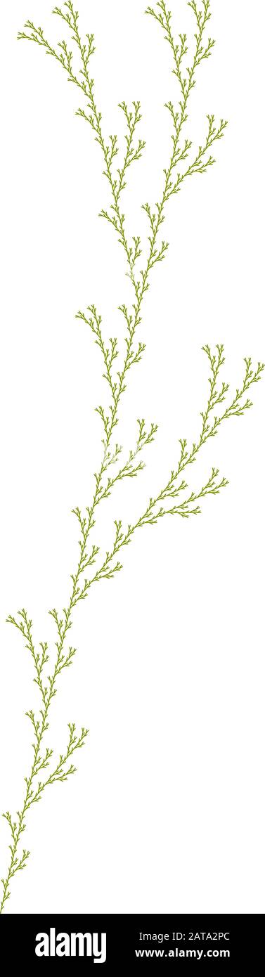 Flat Vector Computer Generated L-system Branching Fractal - Generative Art Stock Vector Image ...