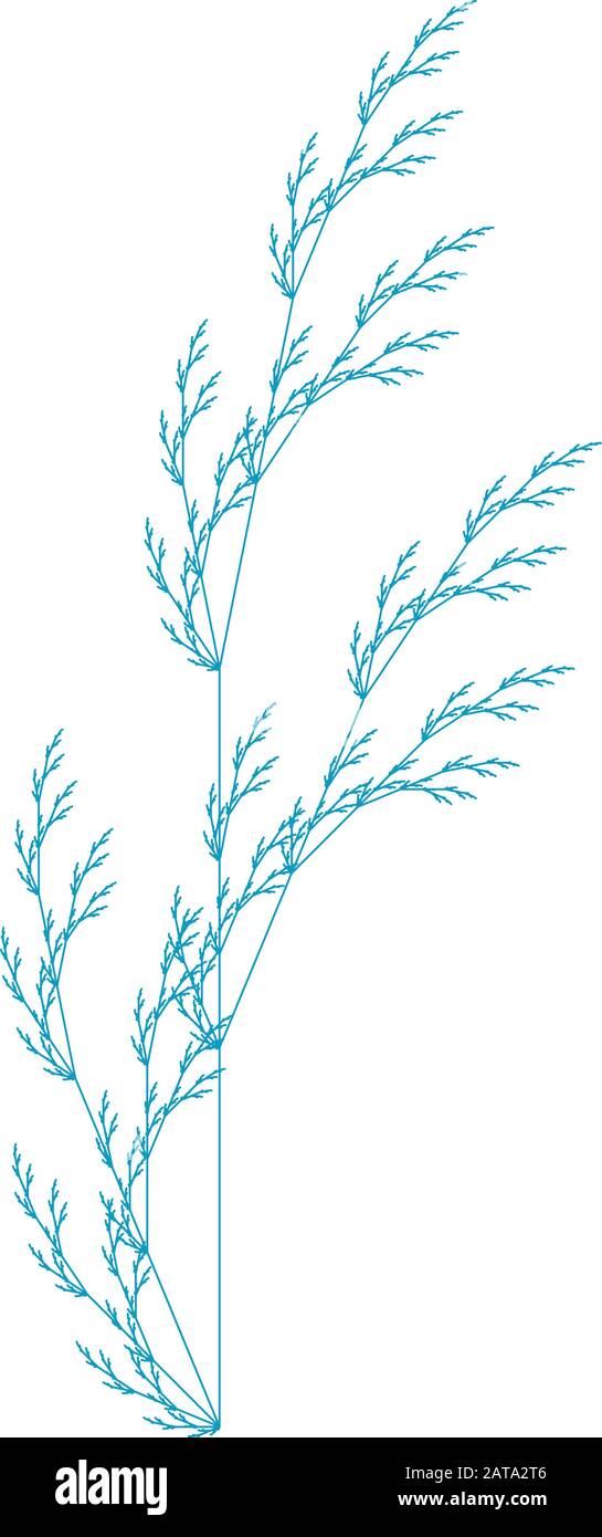 Flat Vector Computer Generated L-system Branching Fractal - Generative Art Stock Vector Image ...