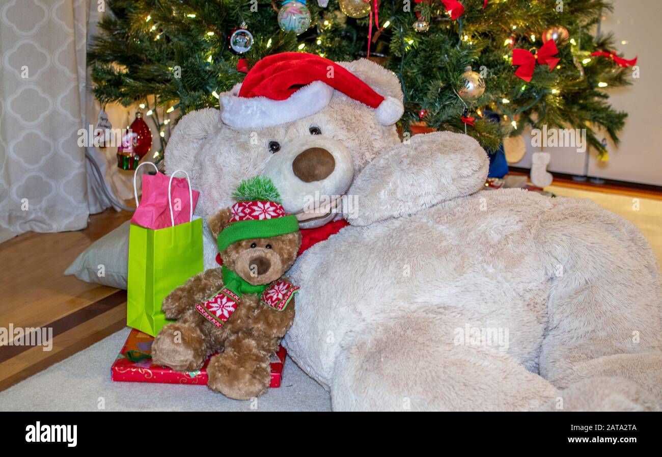Teddy bears cuddle under the Christmas tree Stock Photo - Alamy