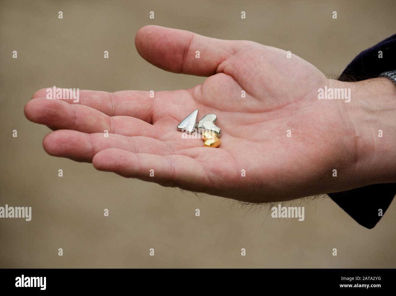 Carry palm hi-res stock photography and images - Alamy