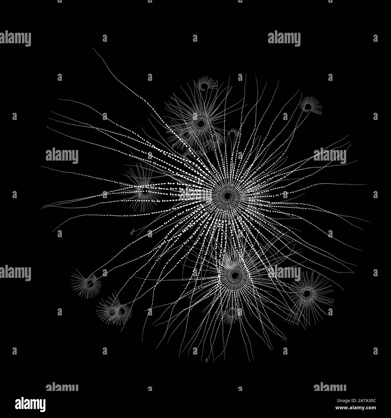 Flat Vector Computer Generated Dotted Helix Fractal - Generative Art ...