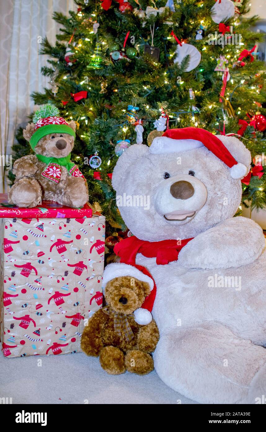 Teddy bear trio under the Christmas tree Stock Photo - Alamy