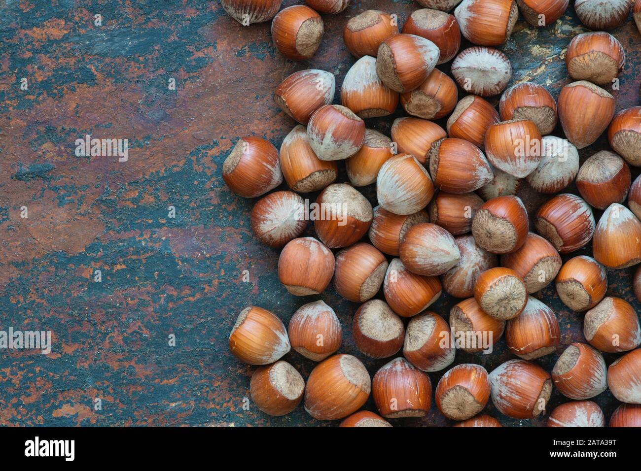 Cob nut tree hi-res stock photography and images - Alamy