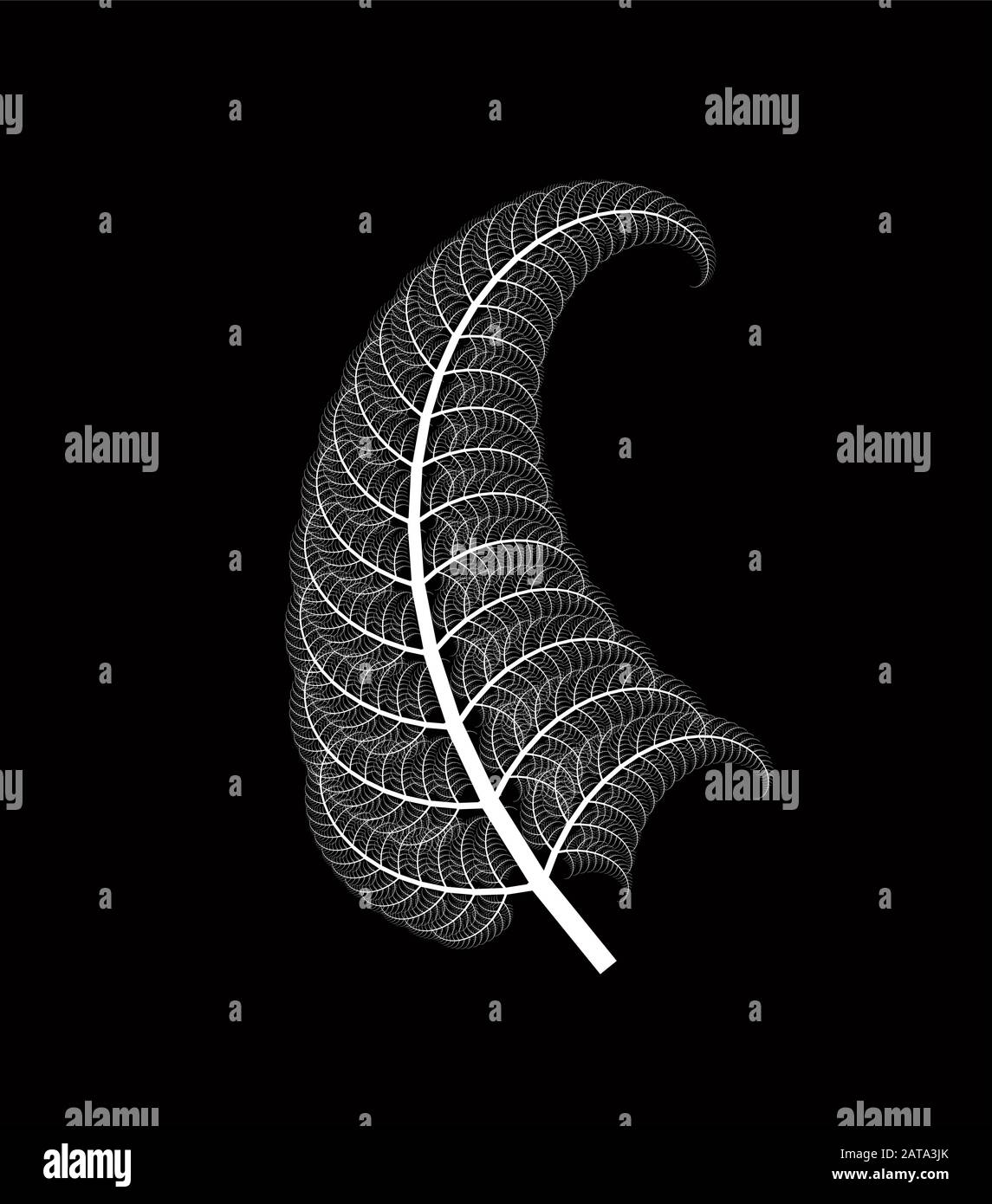 Vector Computer Generated L-system Branching Fearn Barnsley Leaf Fractal - Generative Art Stock ...