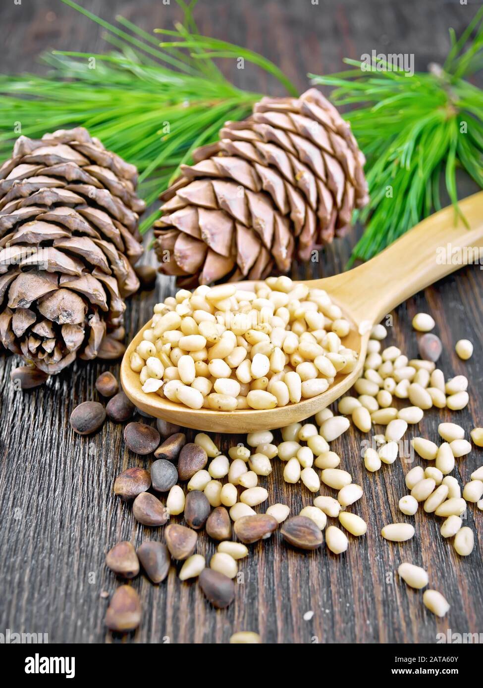 Peeled kernels of cedar nuts in a spoon pine cones green branches and nuts in the shell on a wooden board background Stock Photo Alamy