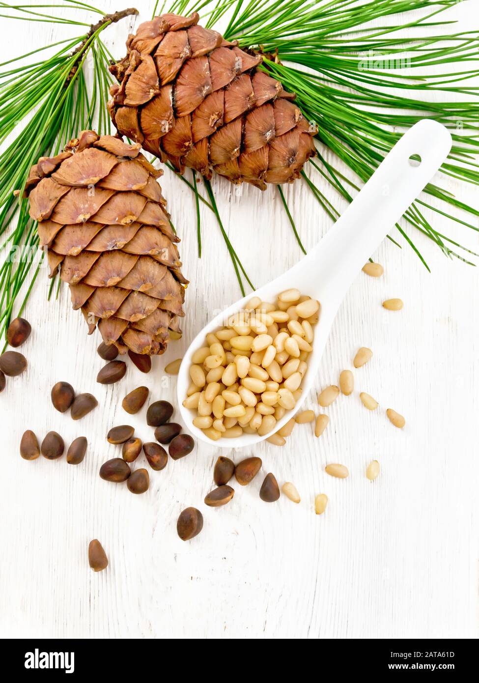 Peeled kernels of cedar nuts in a spoon, two pinecones and nuts in ...