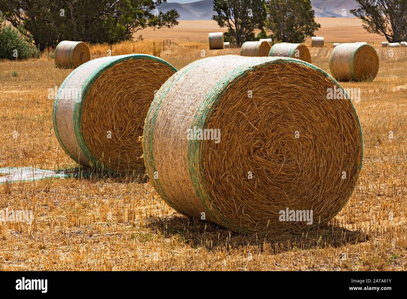 Hay baling hi-res stock photography and images - Alamy