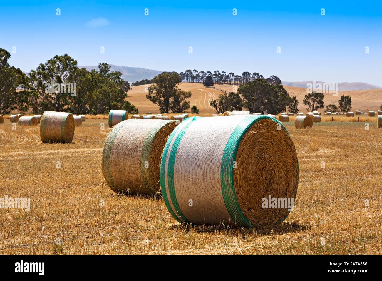 Harvesting hay australia hi-res stock photography and images - Alamy