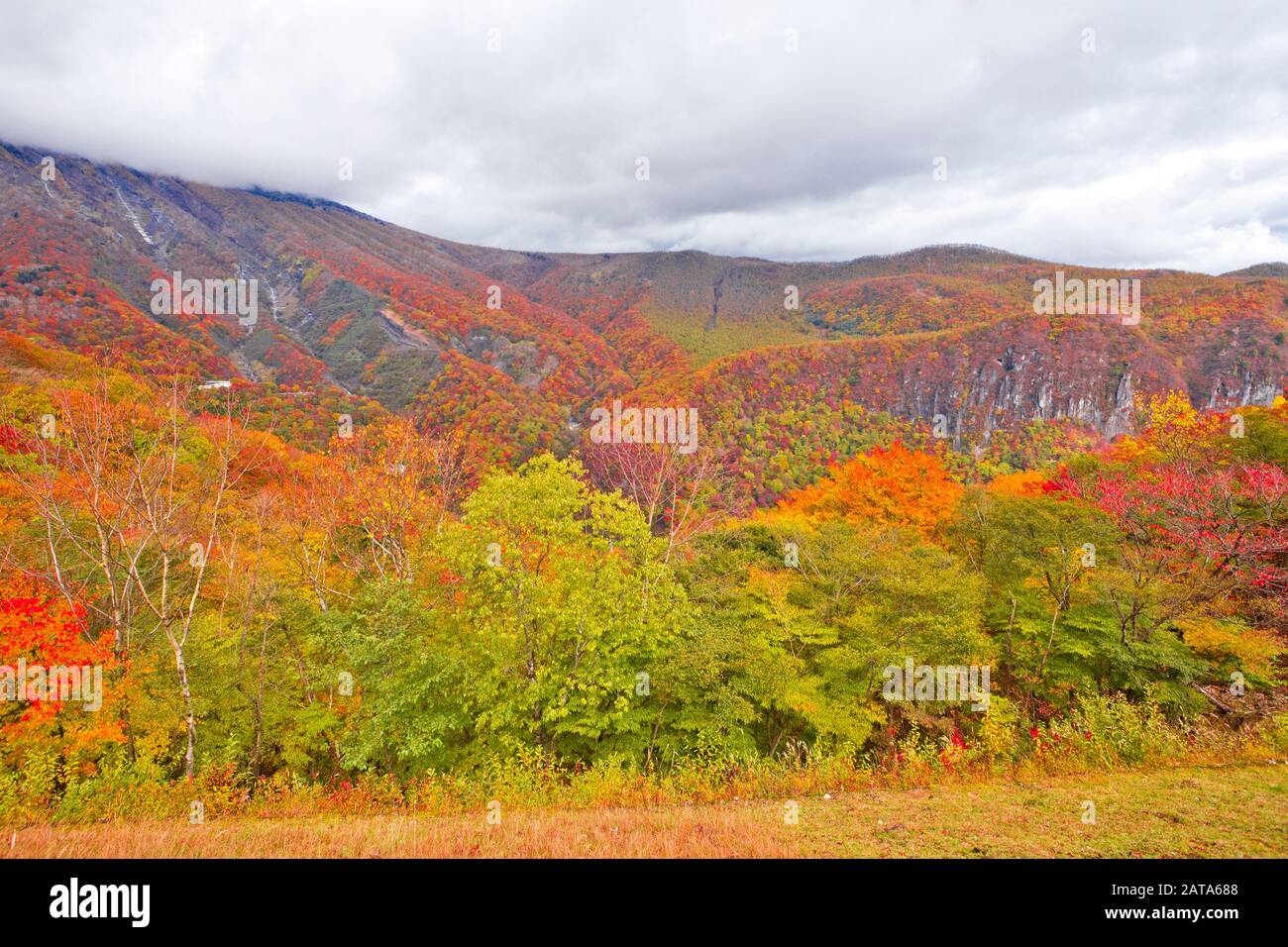 Irohazaka Winding Road and Akechidaira Plateau in Nikko national park ...