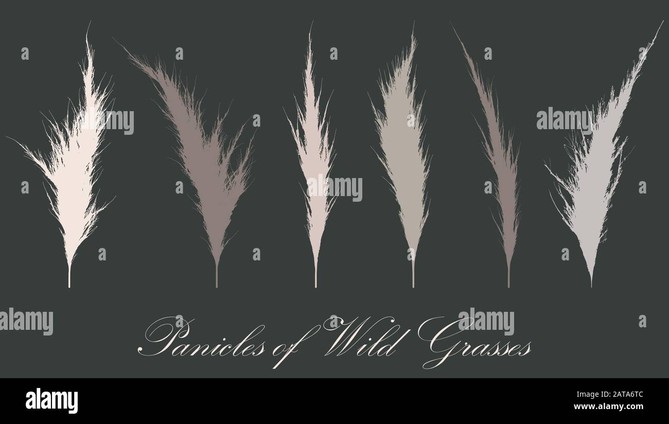 Vector Cereals Panicle Set - Generative Art - Computer Generated Self ...