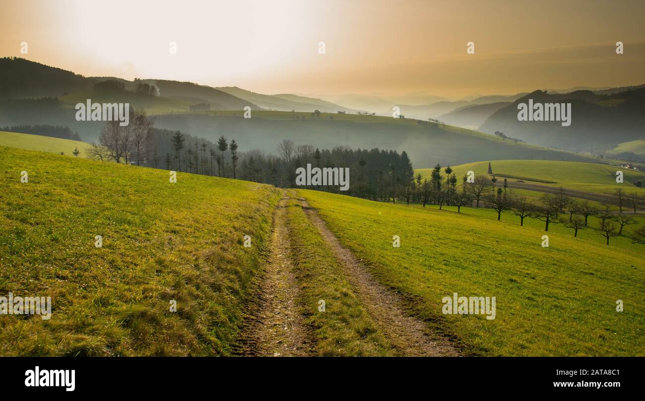 Beautiful heights of Oberharmersbach in the black forest in germany ...