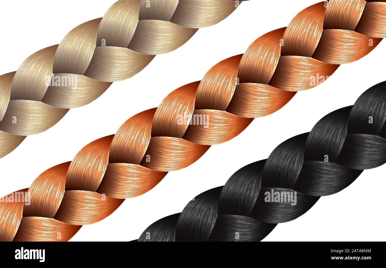 Vector Long Hair Braid Model Concept - Three Isolated Blond, Brunet and ...