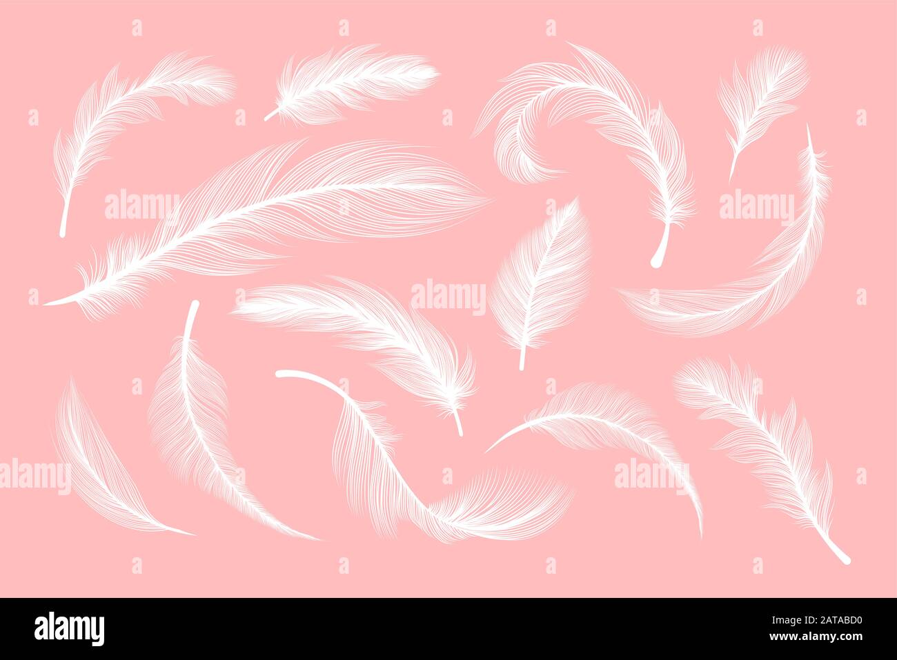 White Feathers, vector silhouettes with fluffy plumage texture. Feather ...