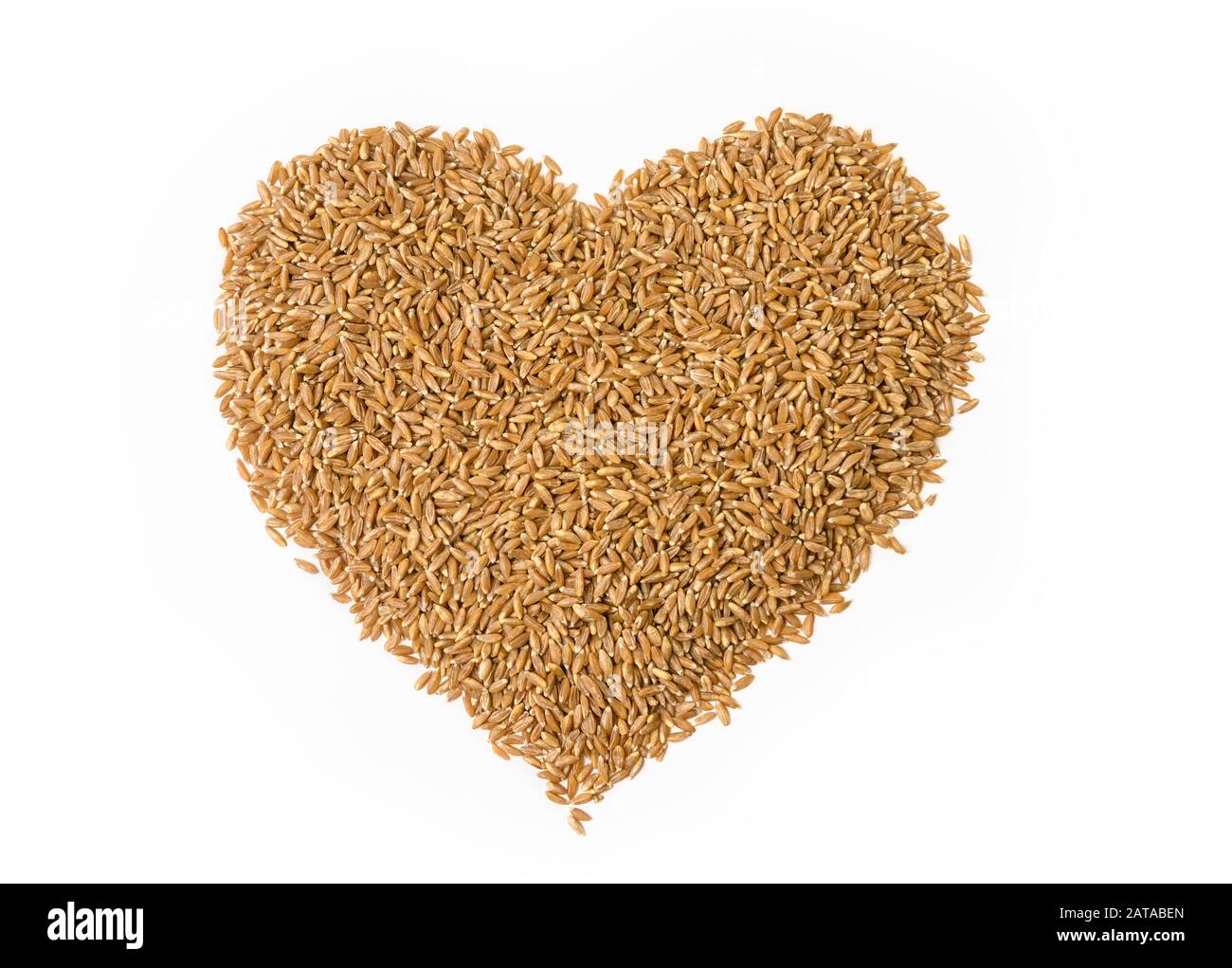 Spelt grain hi-res stock photography and images - Alamy