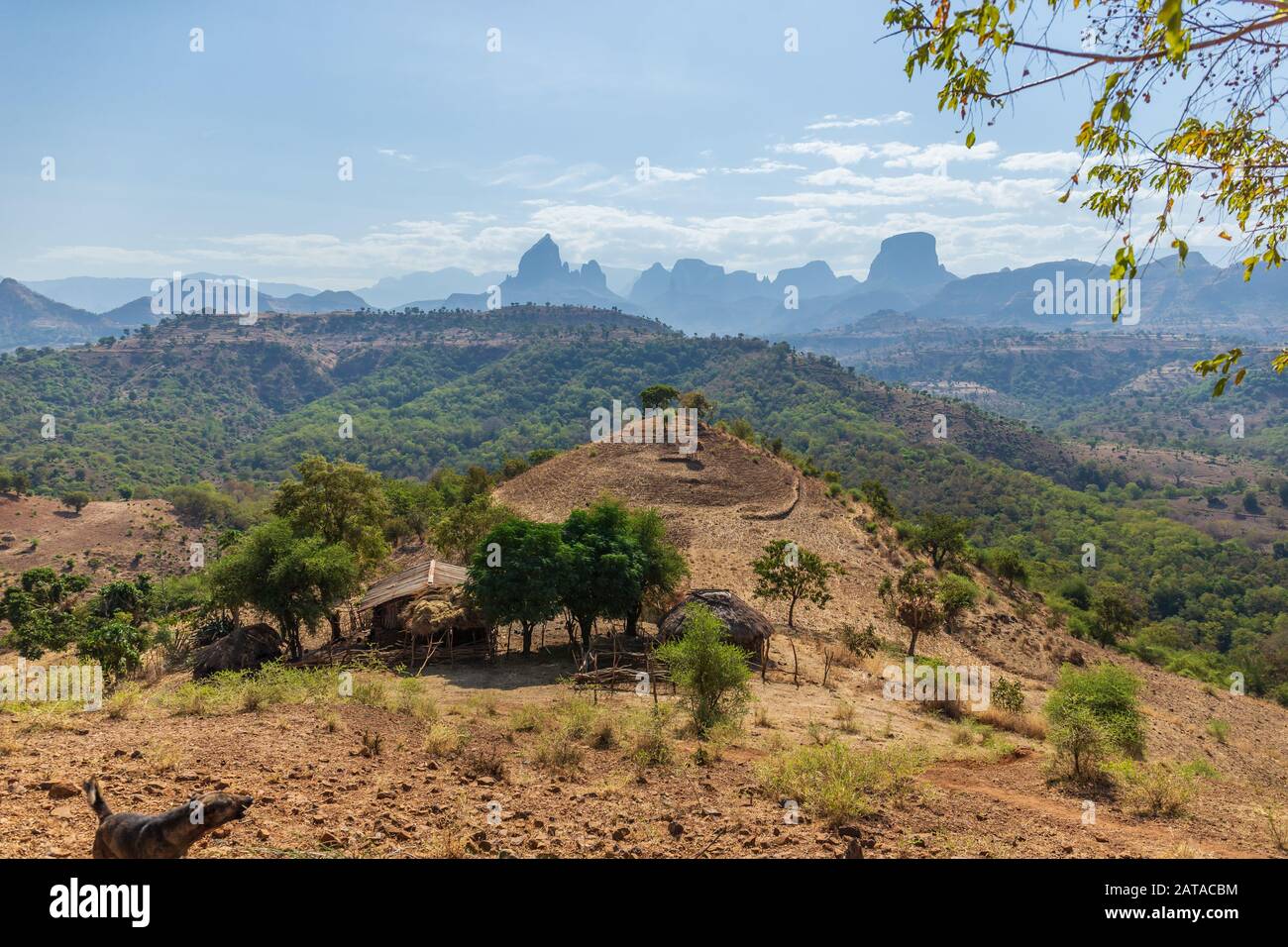 Amazing landscape of the Simian mountains National Park, Ethiopia Stock ...