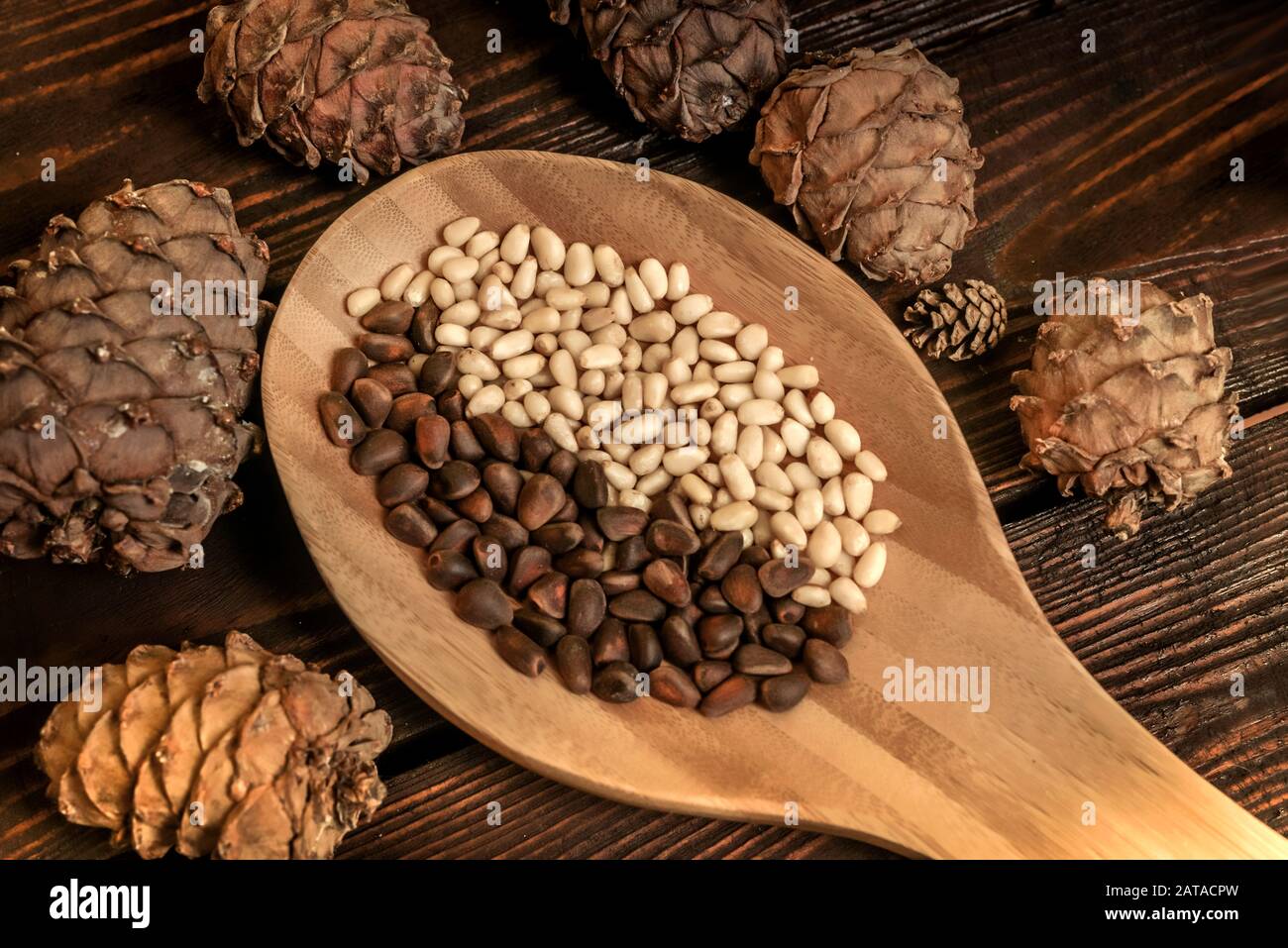 Pine nuts. Cedar nuts and cones on wooden table. Wooden bear made of ...