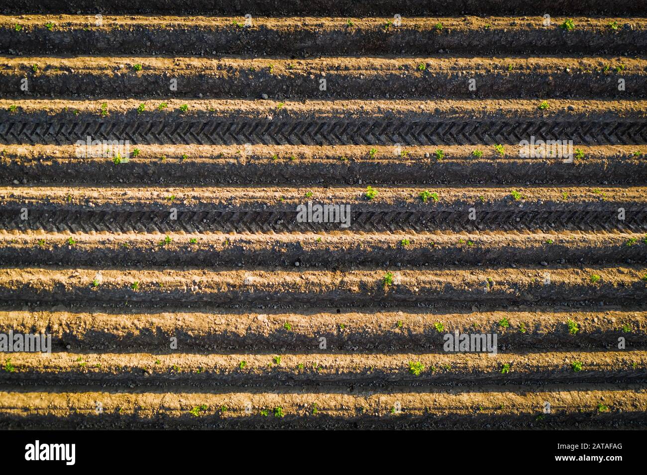 Furrows in field texture hi-res stock photography and images - Alamy