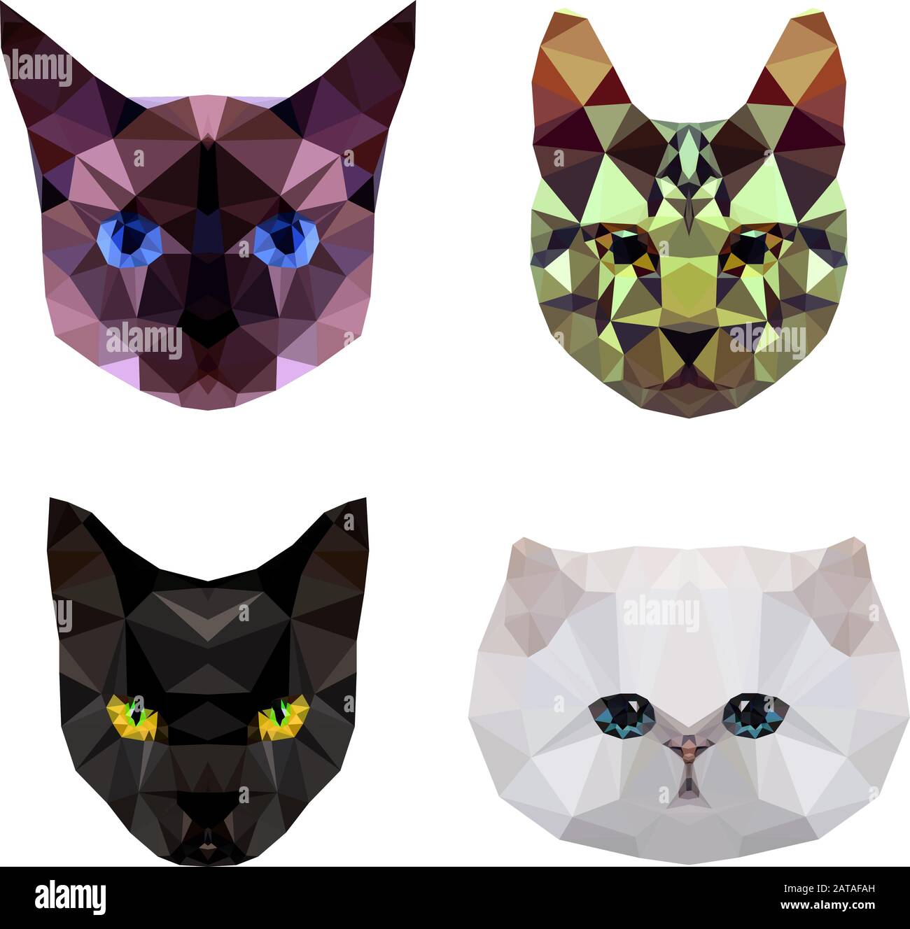 Different Breeds of Cats - Vector Set of Cat's Faces Stock Vector Image ...