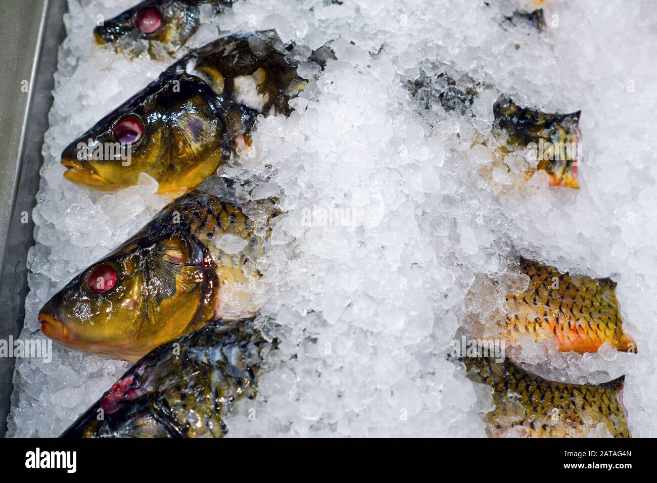 Supermarket fish counter cod hi-res stock photography and images - Alamy
