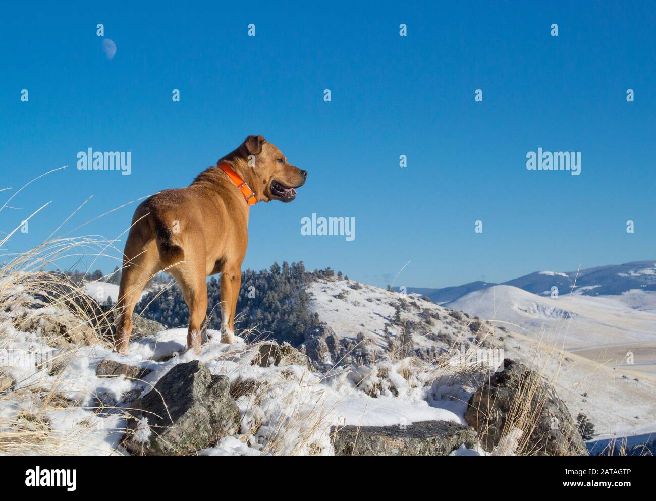 Pipestone montana hi-res stock photography and images - Alamy