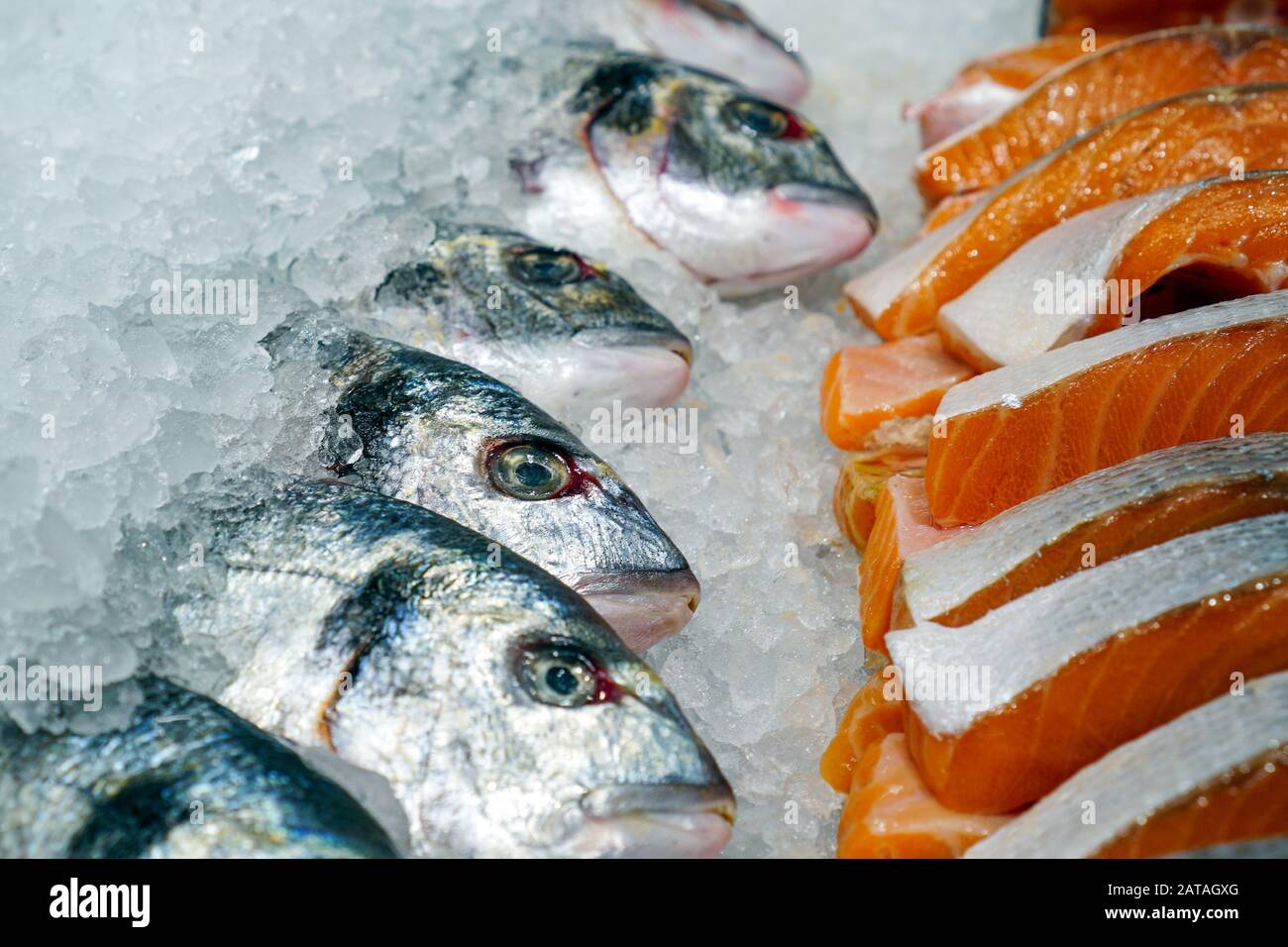 fresh chilled sea fish on the market Stock Photo - Alamy