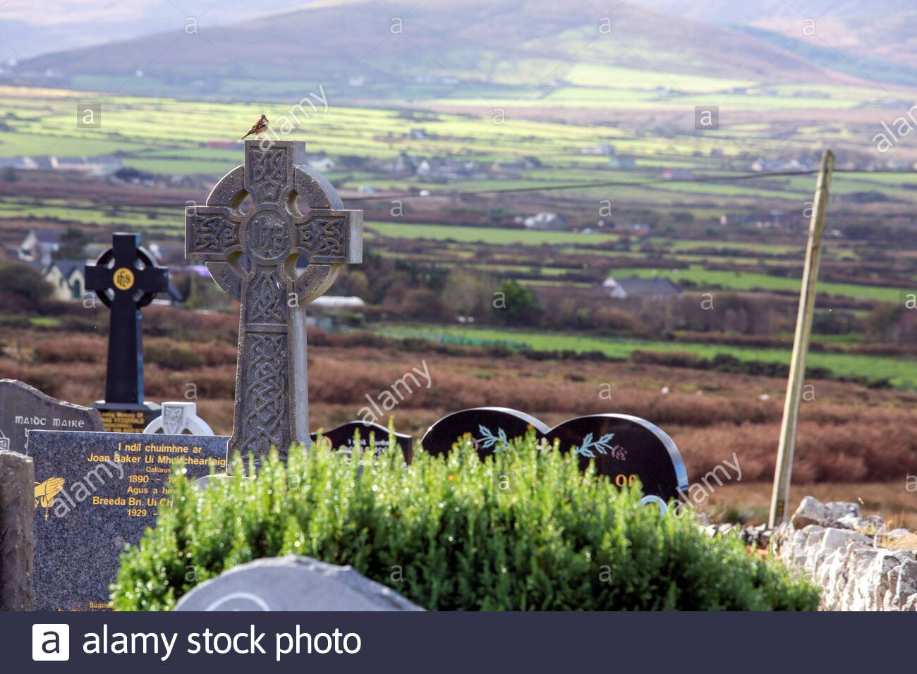 County Kerry Graveyard High Resolution Stock Photography and Images - Alamy