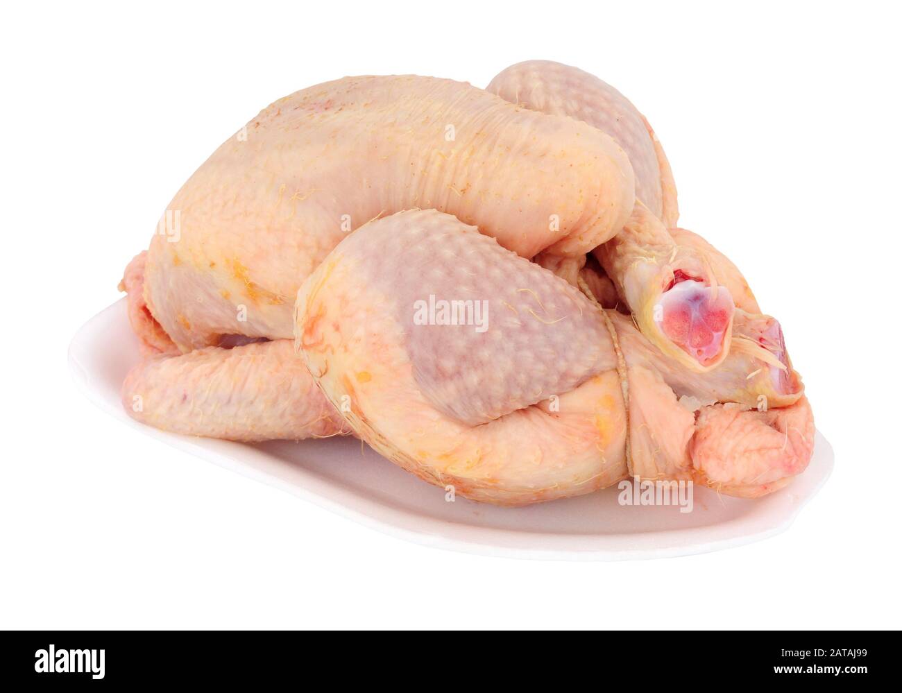 Fresh raw poussin chicken sometimes called spring chicken isolated on a ...