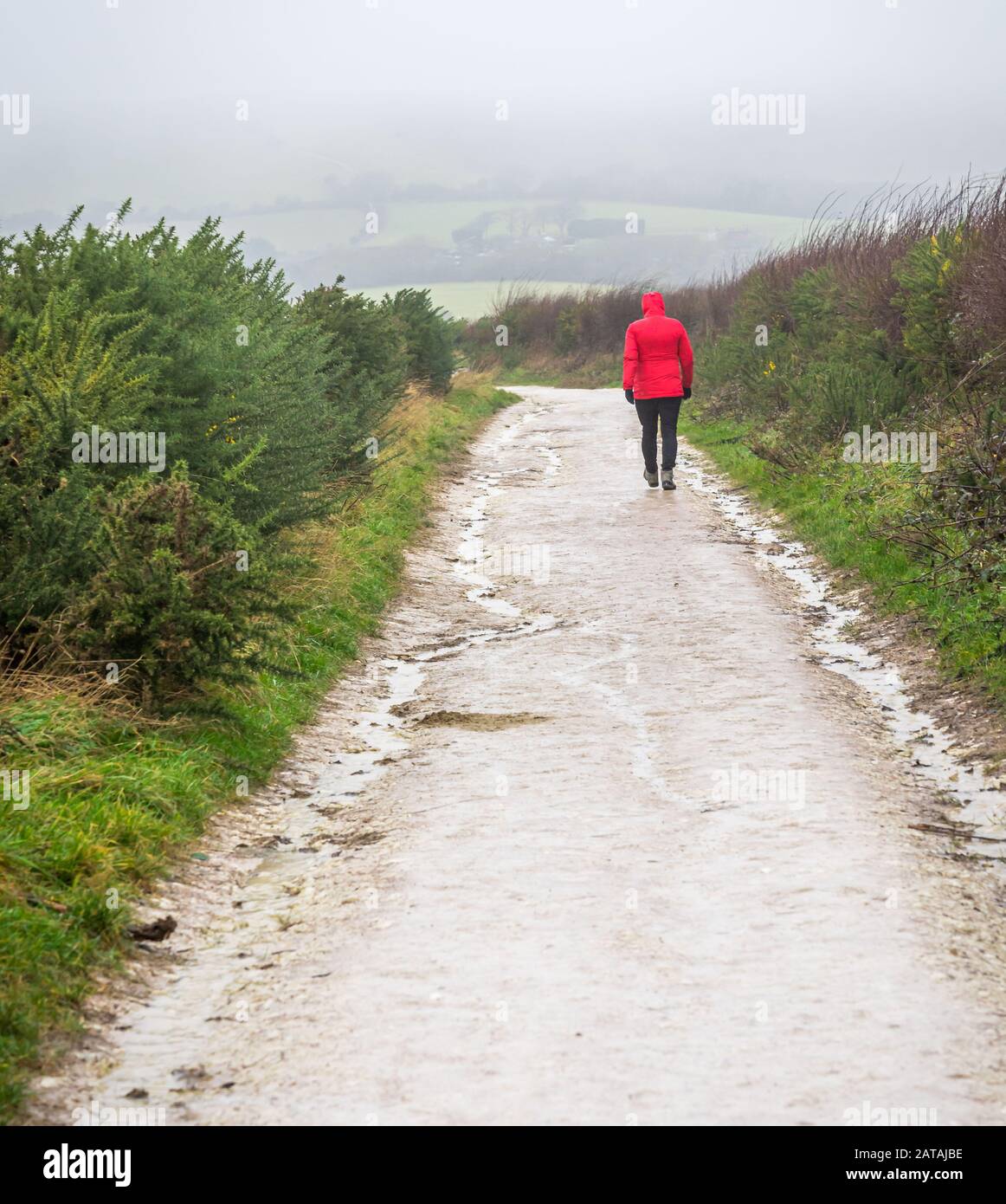 Walking the Southdowns Way in the rain Stock Photo - Alamy