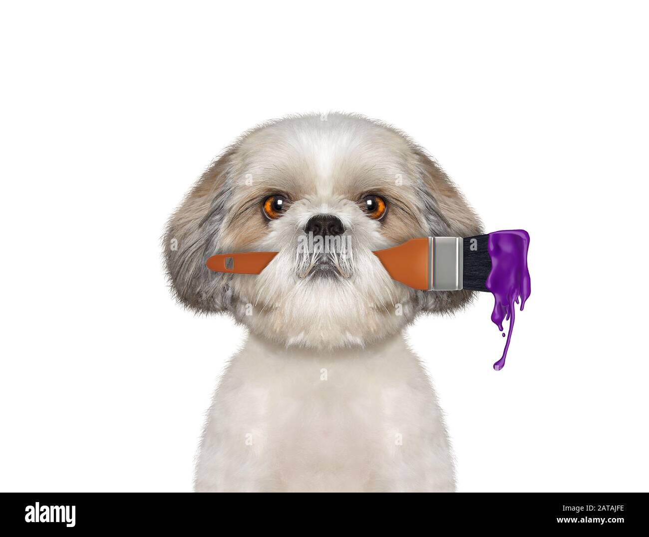 Cute dog as a painter with brush and green color. Isolated on white ...