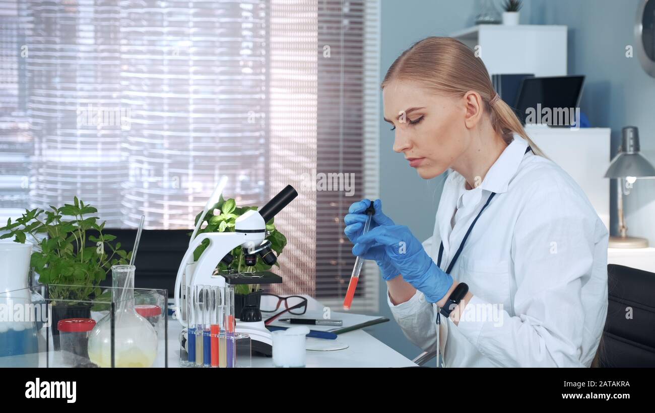 Female research scientist dropping sample on microscope slide and ...
