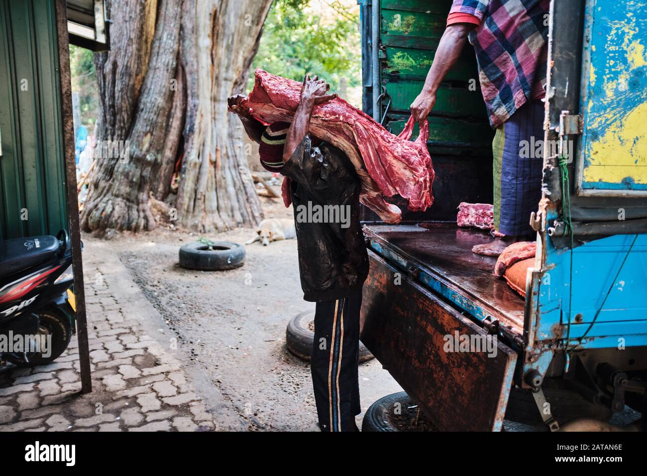 Indian butcher hi-res stock photography and images - Alamy