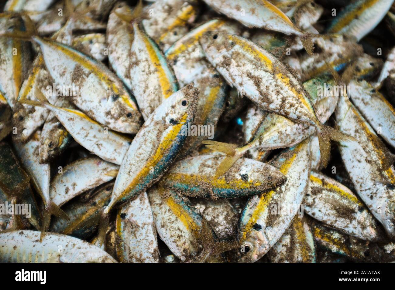 Catch basket hi-res stock photography and images - Alamy