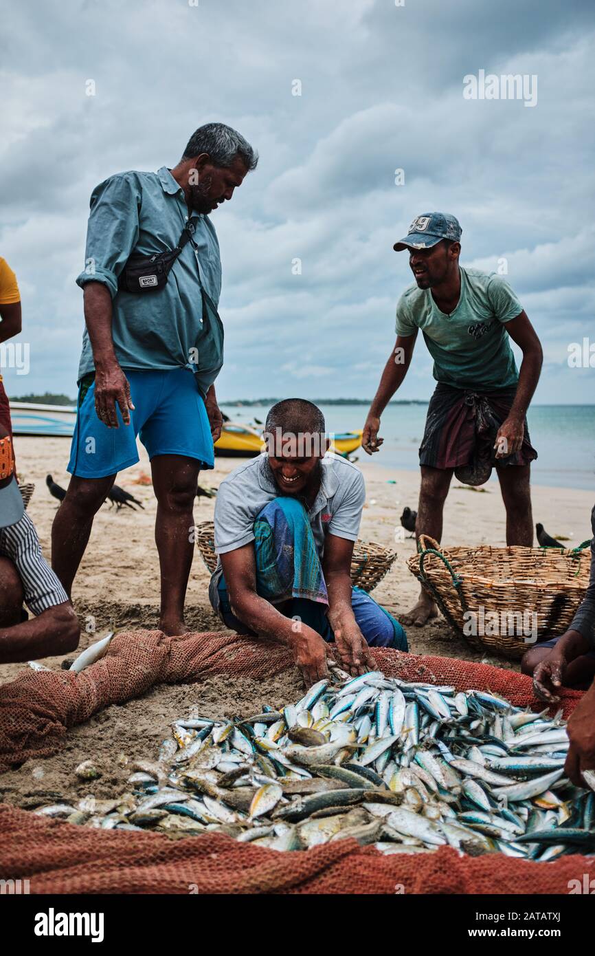 Gathering food from ocean hi-res stock photography and images - Alamy