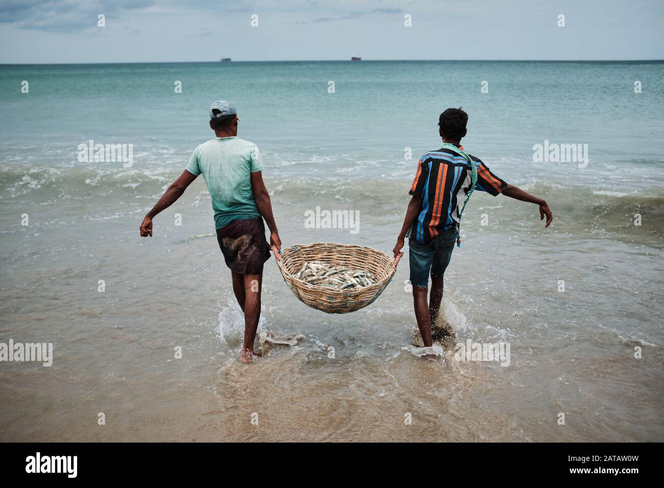Two Sri Lankan men carrying fish in a bambo basket on Trincomalee beach ...