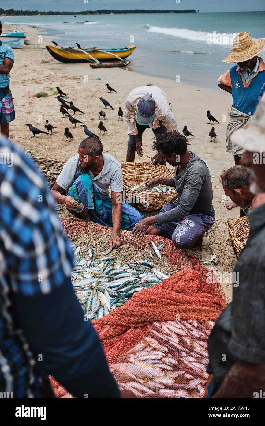 Gathering food from ocean hi-res stock photography and images - Alamy